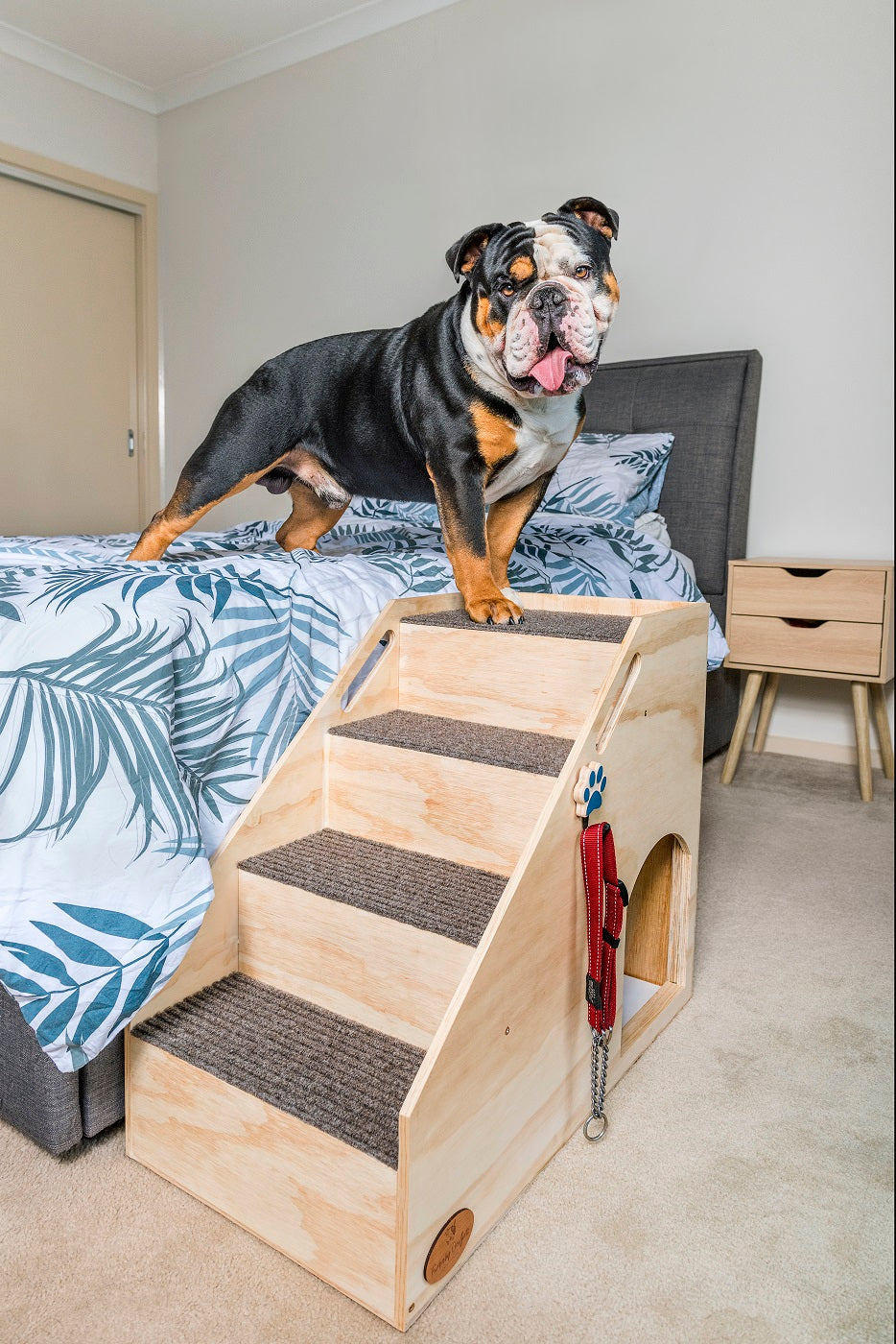 Dogs – Furbaby Comforts