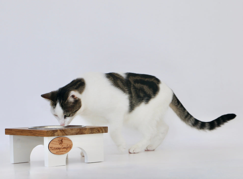 Elevated Cat Bowl Stand – Furbaby Comforts